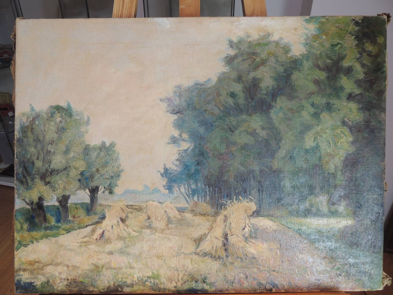 Küstenhammer - Das Auktionshaus