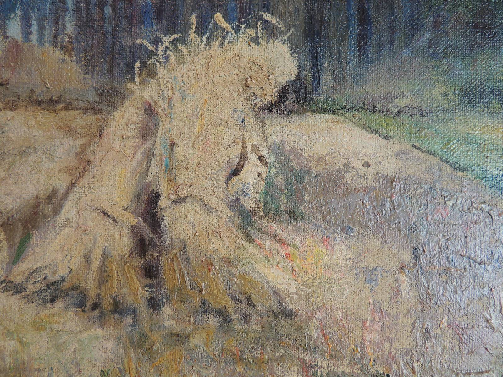 Küstenhammer - Das Auktionshaus